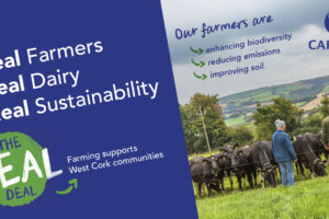 2024 Annual Report - Carbery